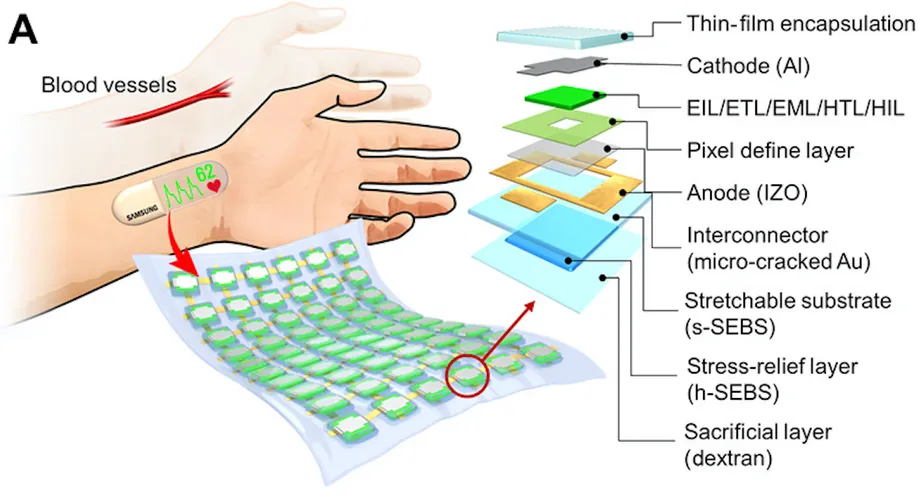 三星正在研发用于可穿戴设备的可拉伸OLED显示屏