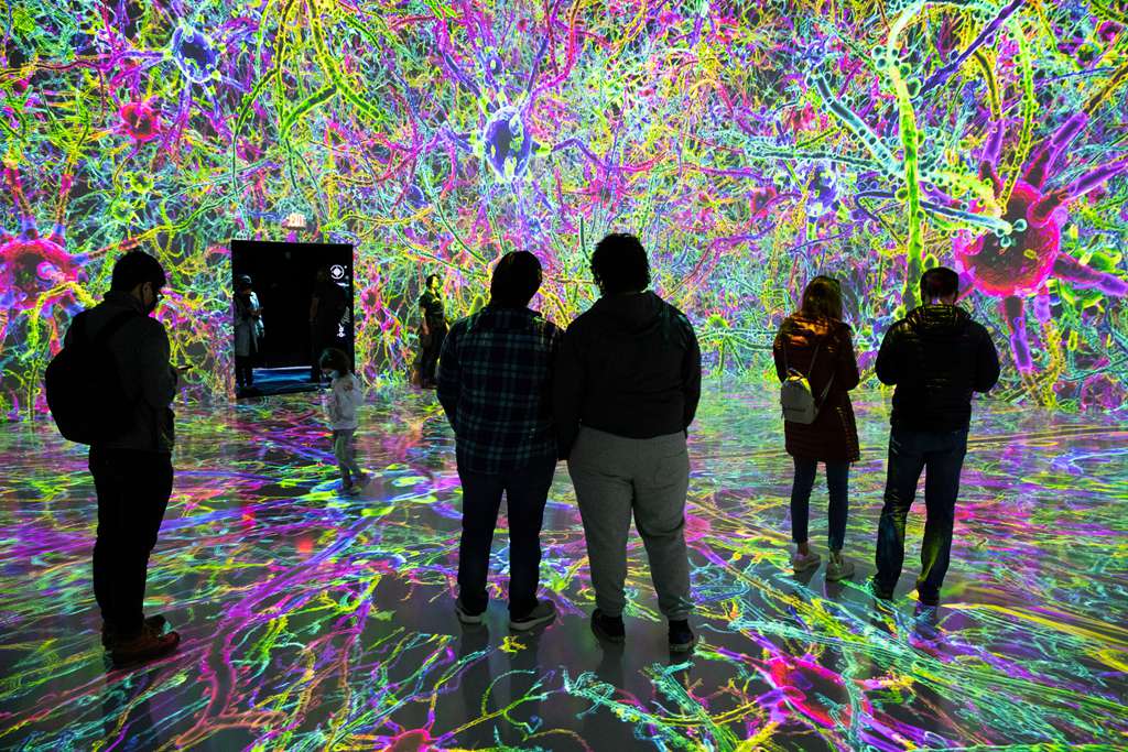 酷炫十足！美国华盛顿举行“神经元的生命”沉浸式展览
