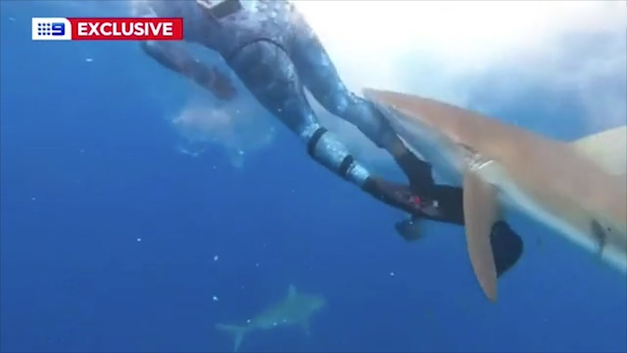 惊险！澳大利亚两名渔民潜水捕鱼时被鲨鱼袭击