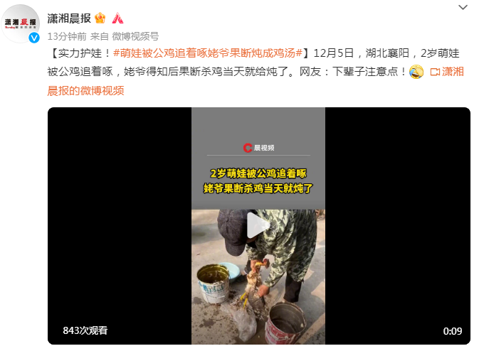 实力护娃!萌娃被公鸡追着啄,姥爷果断将其炖成鸡汤
